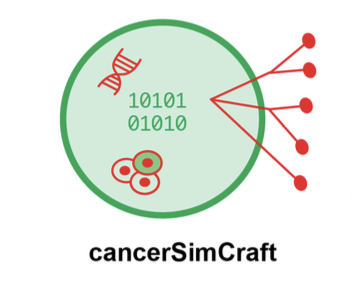 Initialize Segment Table for Chromosome Regions — initiate_seg_table ...
